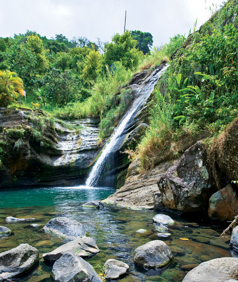 Pure Grenada Keeps It That Way - Recommend
